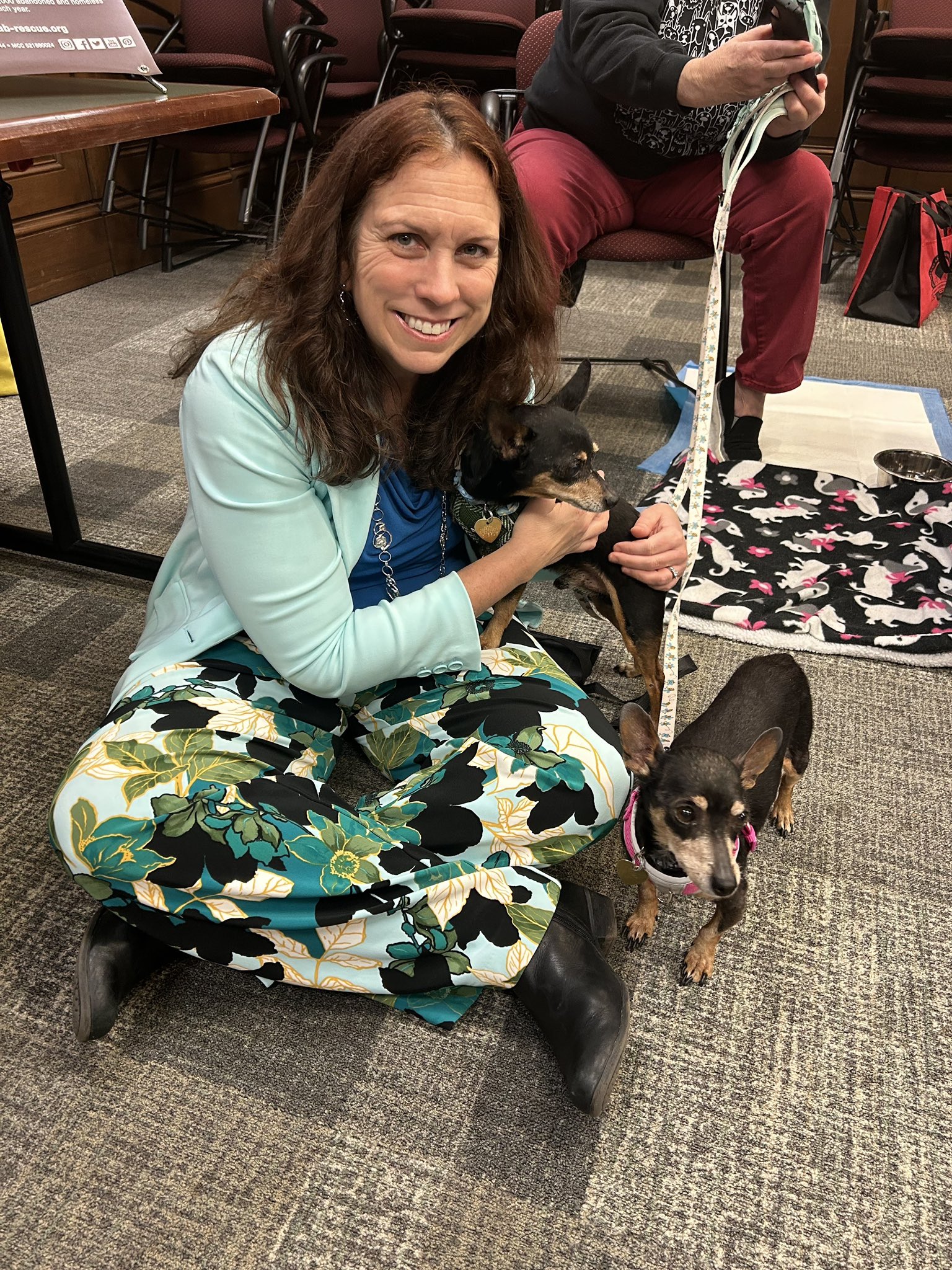 Dr. Shogan’s Weekly Summary: December 11–December 15, 2023 – This is ...